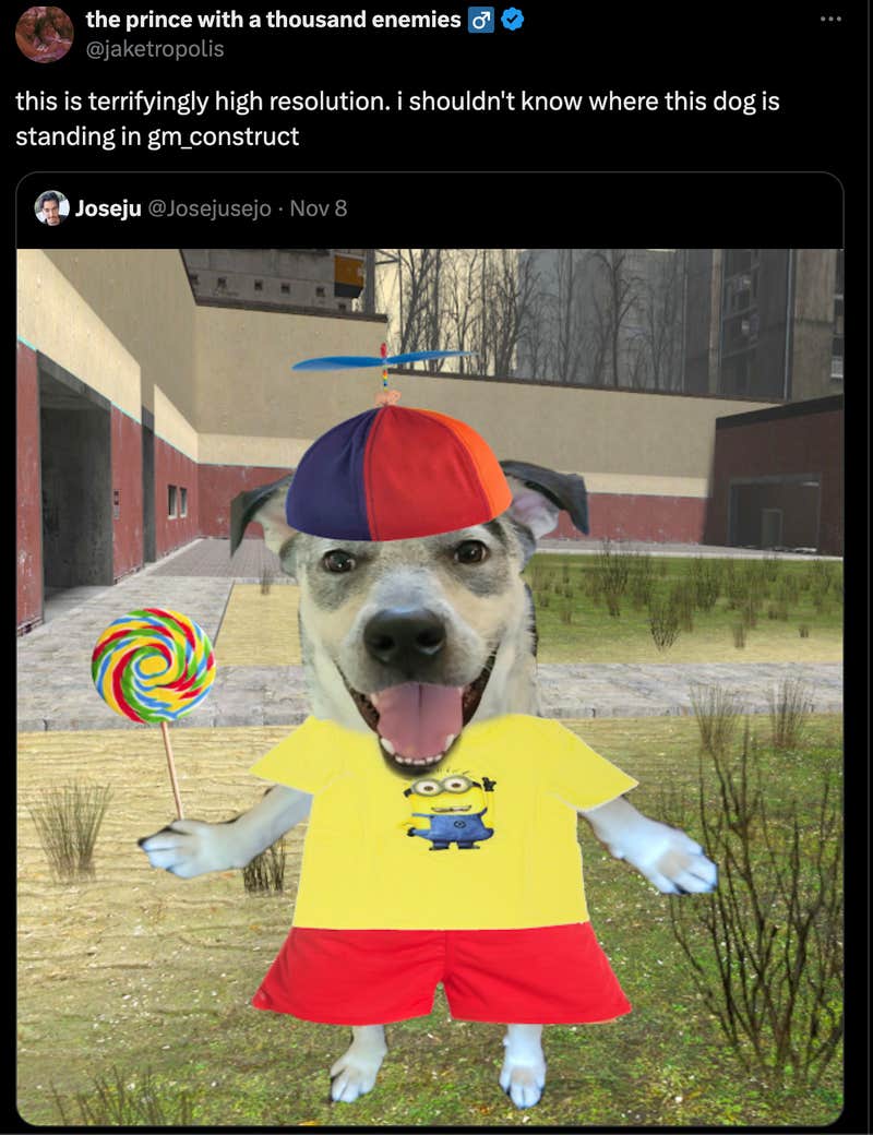 Silly Dog In A Propeller Hat Meme Origins, History, & Examples