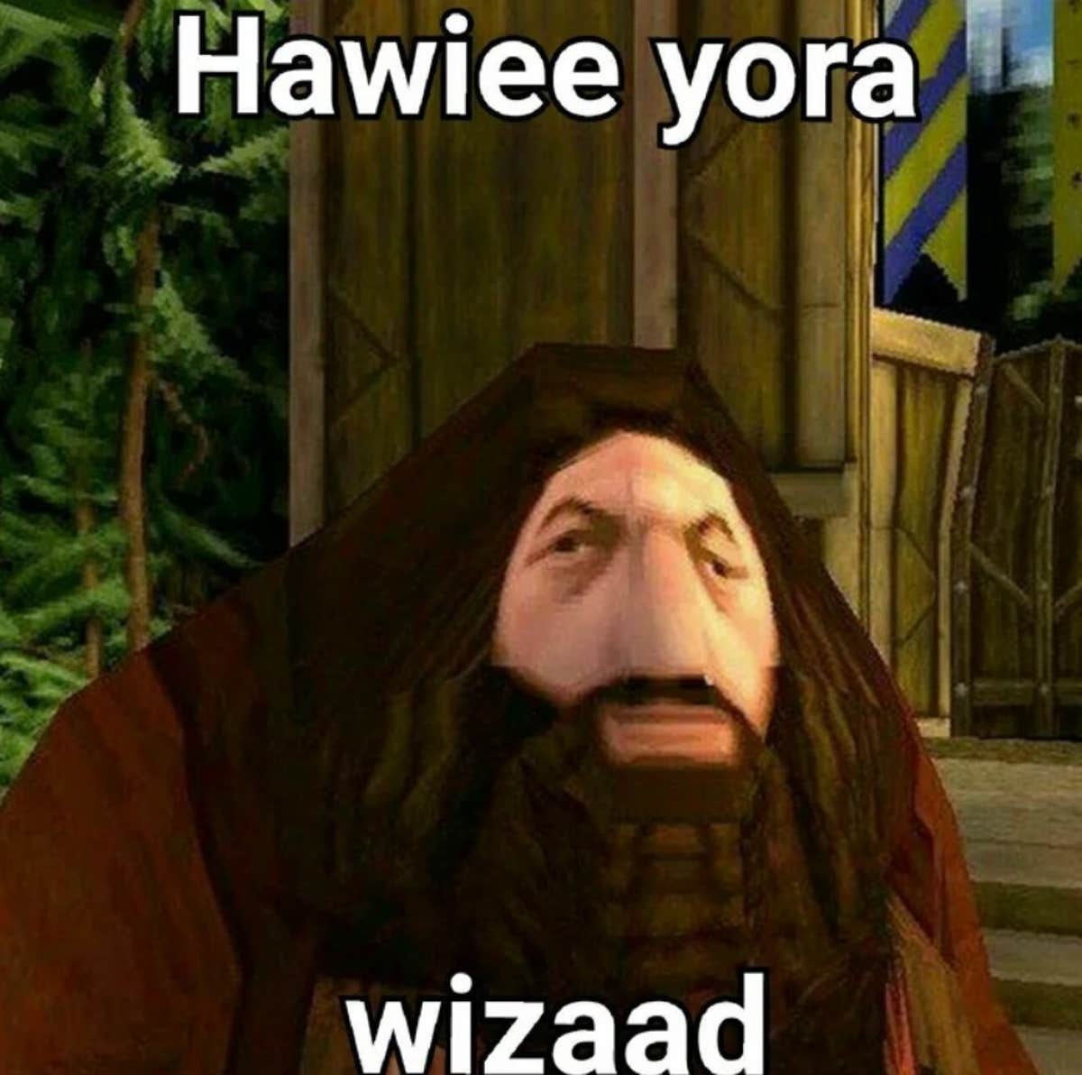 What Is The PS1 Hagrid Meme And Where Is It From?