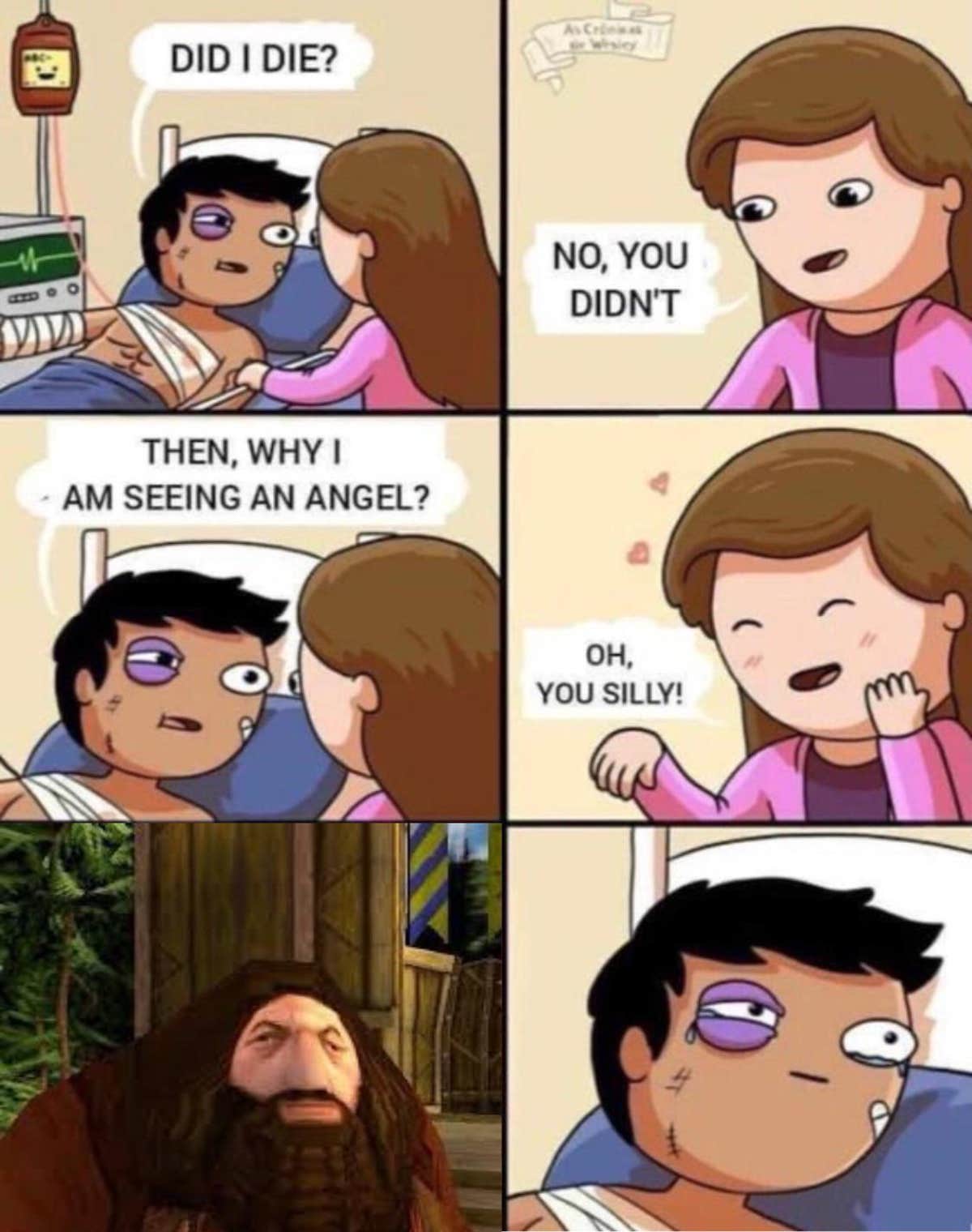 What Is The PS1 Hagrid Meme And Where Is It From?