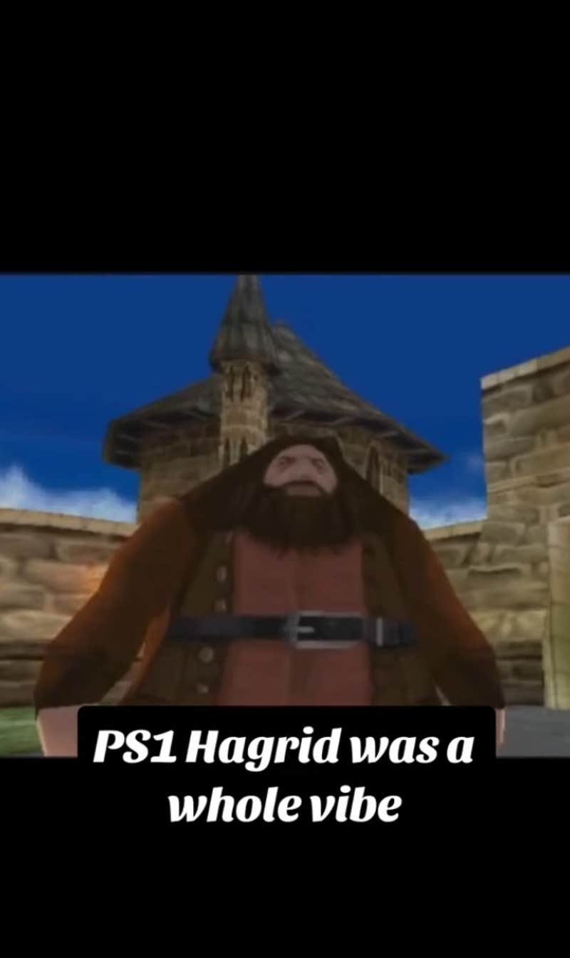 What Is The PS1 Hagrid Meme And Where Is It From?