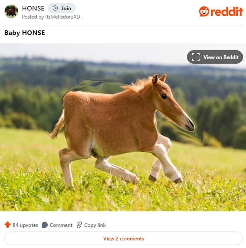 Honse: The Horse Meme With Chunky Proportions