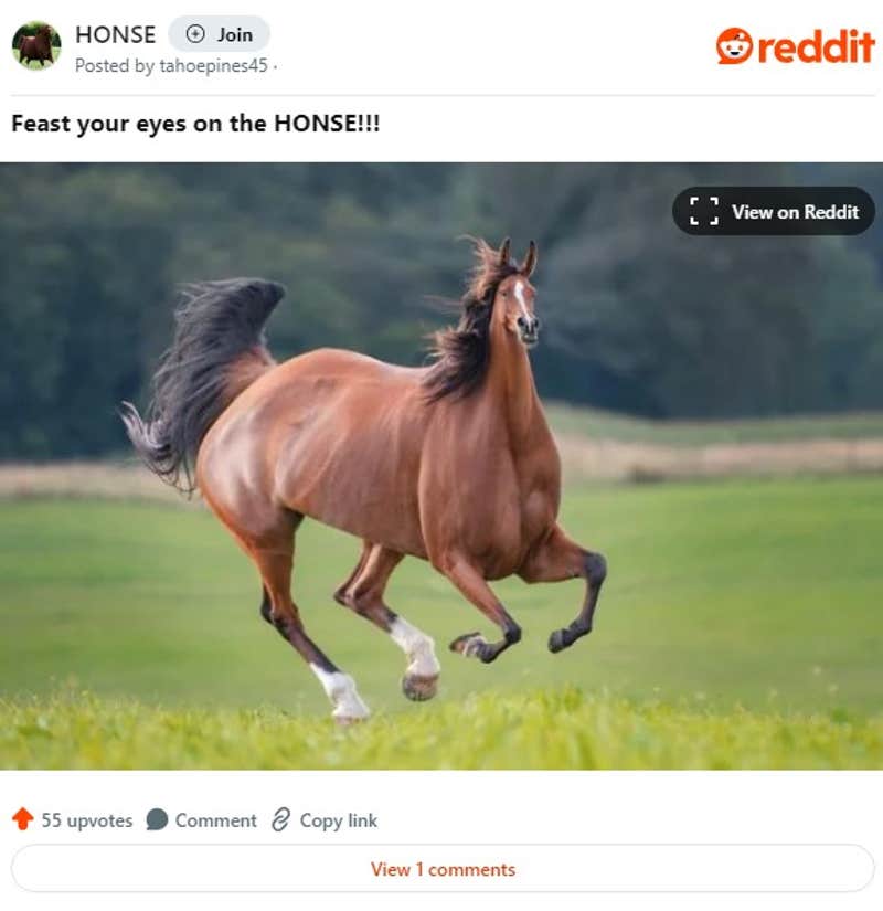 Honse: The Horse Meme With Chunky Proportions