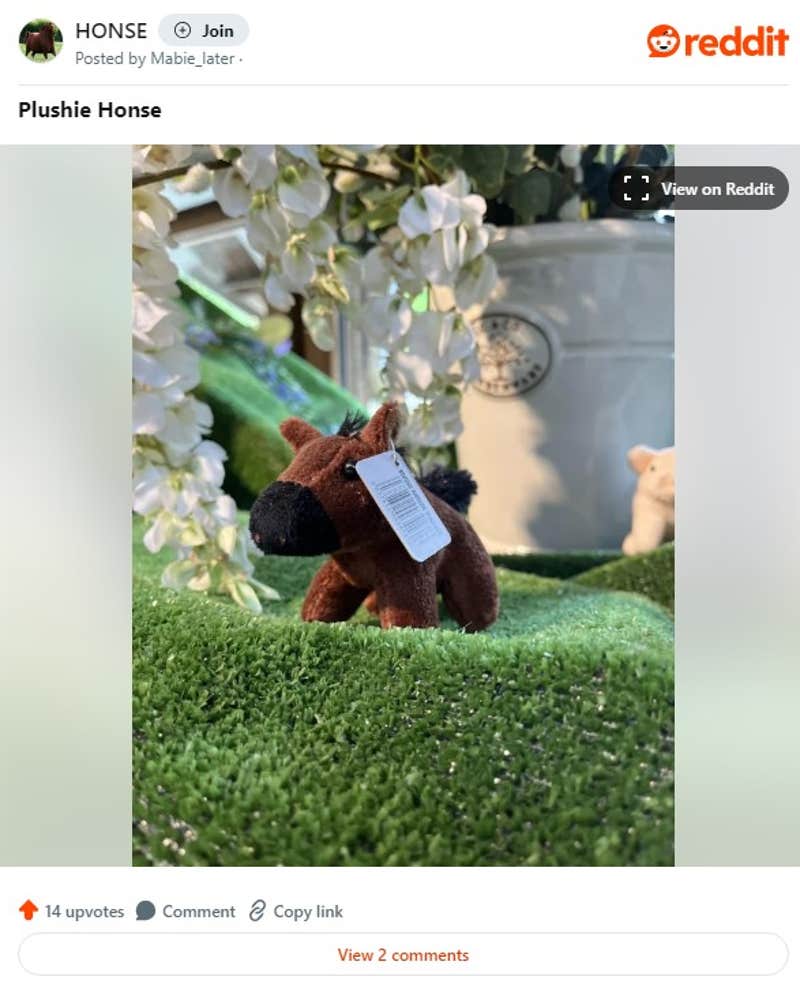 Honse: The Horse Meme With Chunky Proportions