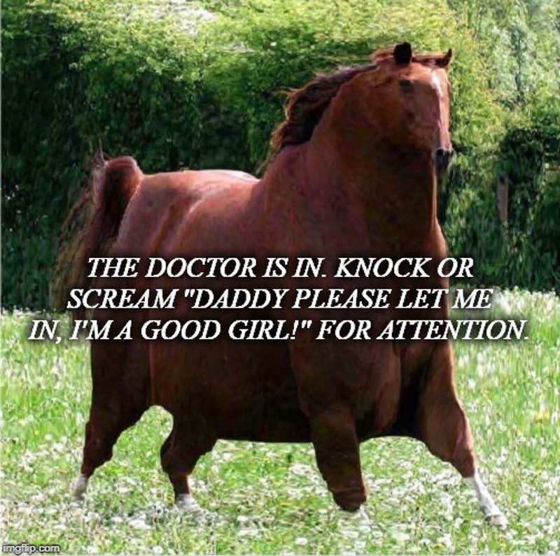 Honse: The Horse Meme With Chunky Proportions