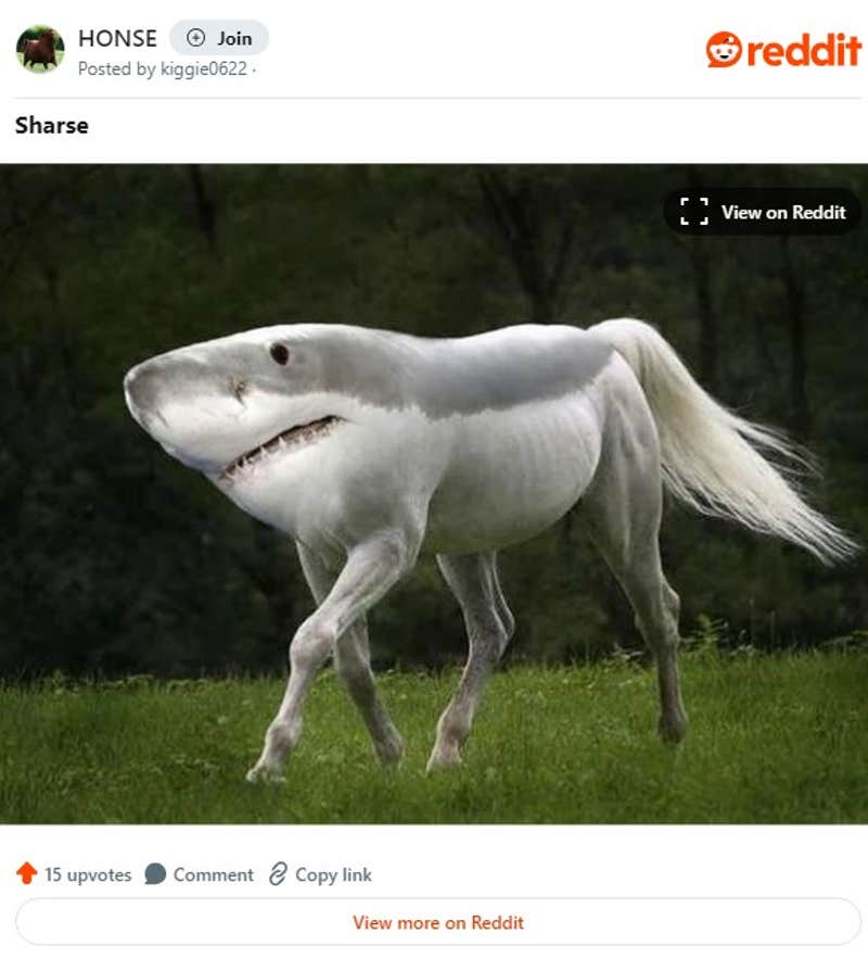 Honse: The Horse Meme With Chunky Proportions