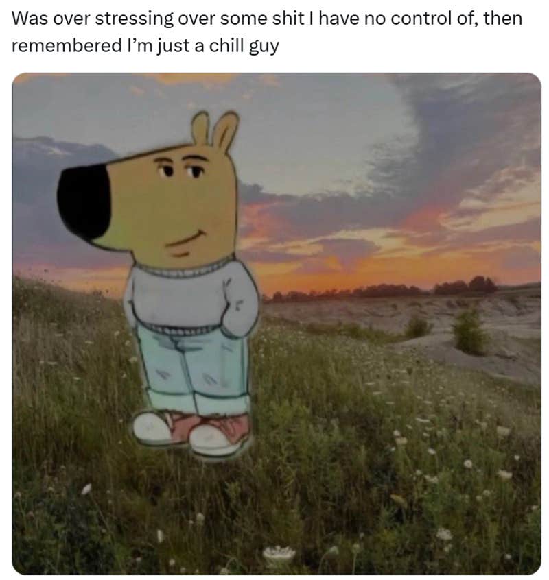 35 Of The Funniest I'm Just A Chill Guy Memes