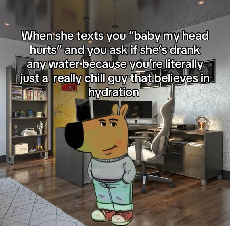 35 Of The Funniest I'm Just A Chill Guy Memes