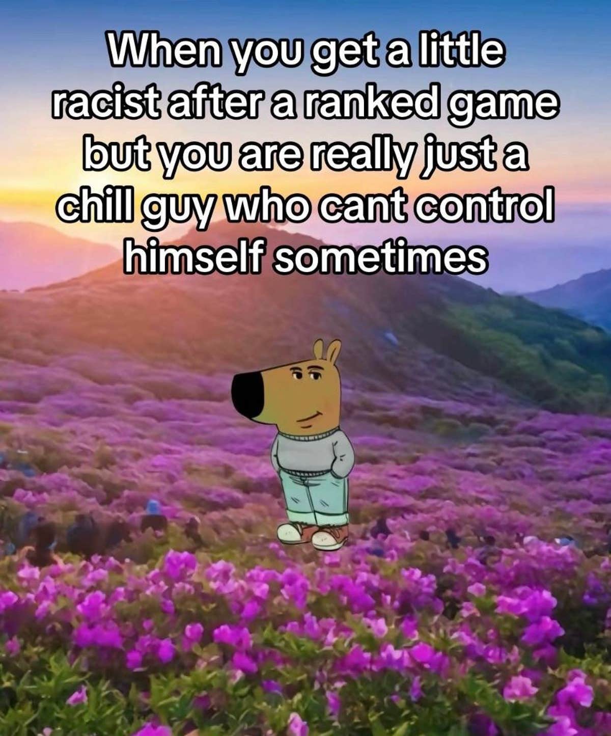 35 Of The Funniest I'm Just A Chill Guy Memes