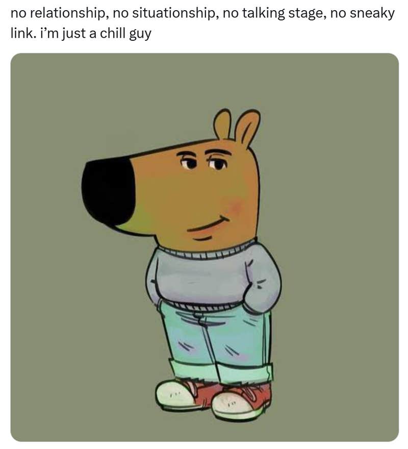 35 Of The Funniest I'm Just A Chill Guy Memes