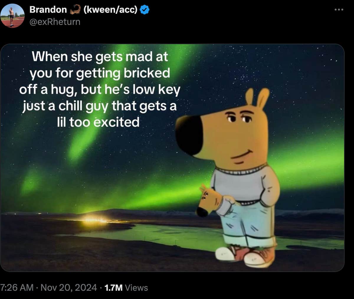 35 Of The Funniest I'm Just A Chill Guy Memes