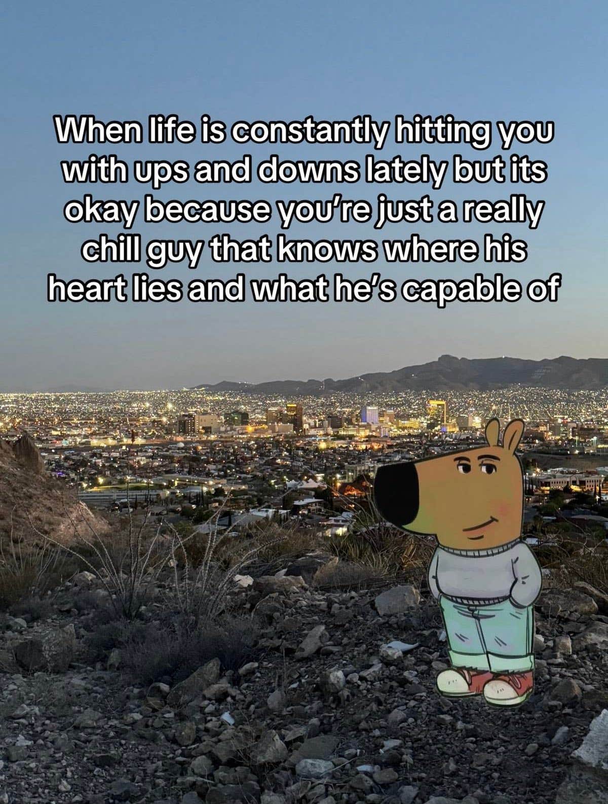 35 Of The Funniest I'm Just A Chill Guy Memes