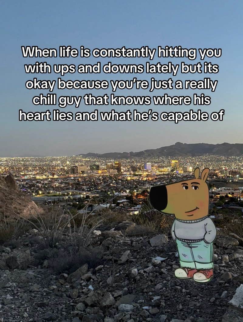 35 Of The Funniest I'm Just A Chill Guy Memes