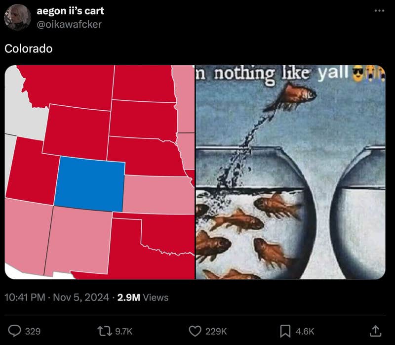 I'm Nothing Like Y'all: A Fish Meme