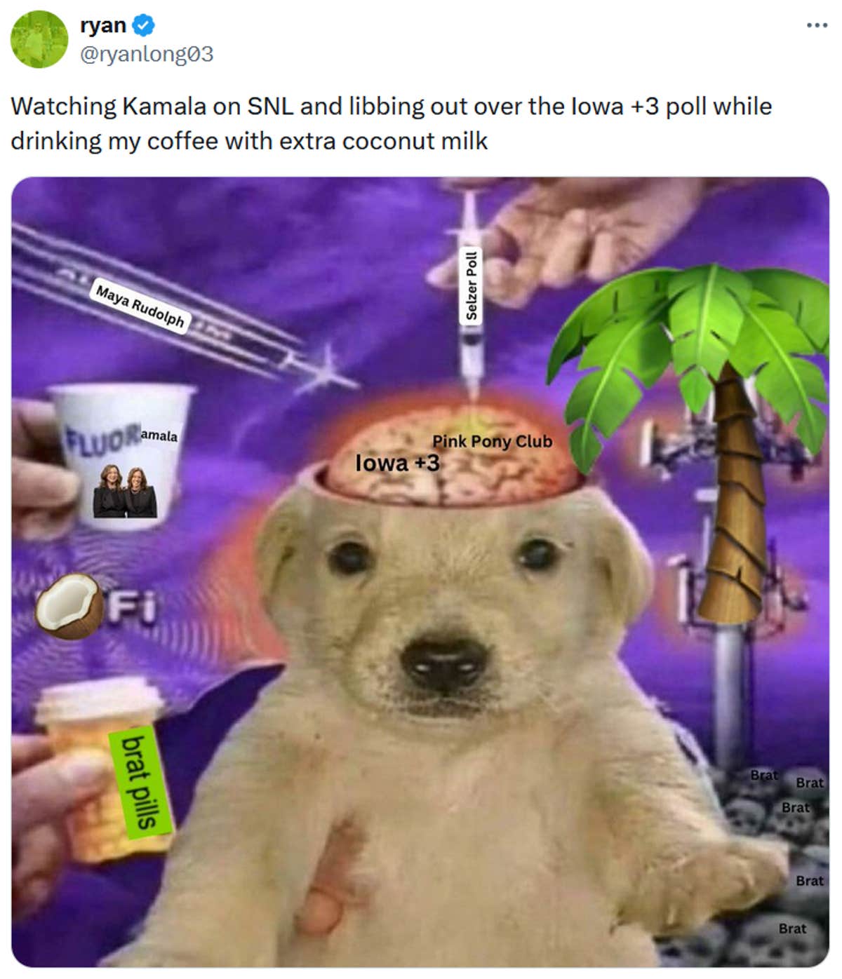 Liberals Are Libbed Up, Libbing Out, And Posting Memes Online