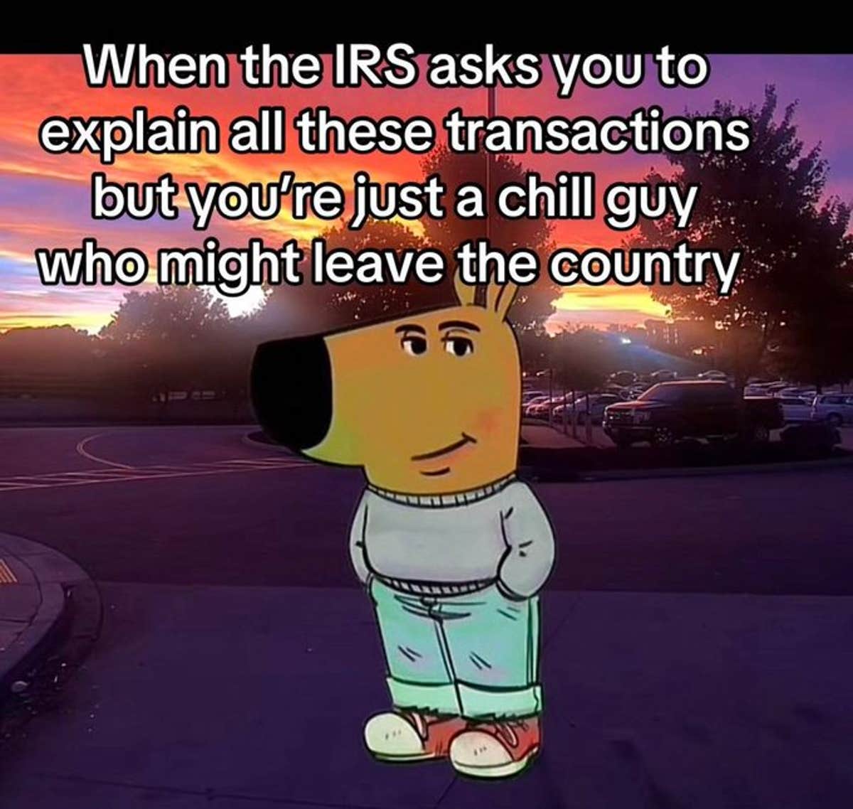 Explaining The My New Character (He's Just A Chill Guy) Meme