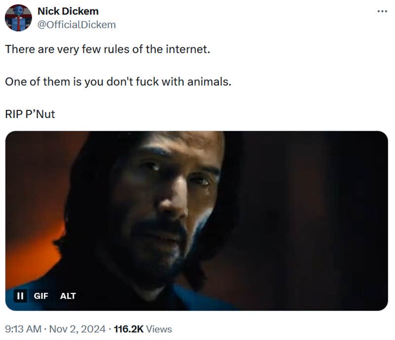 P'Nut The Squirrel Memes Follow His Untimely Death