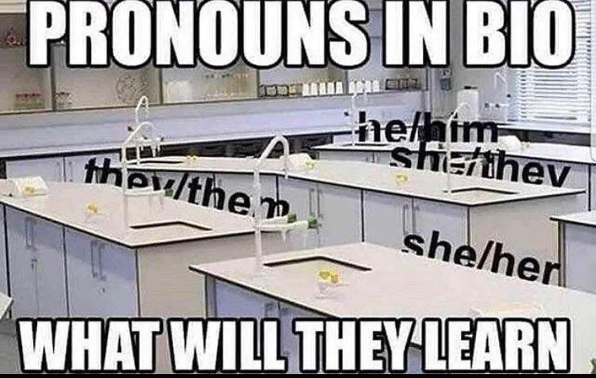 What Is The 'Pronouns In Bio' Meme?