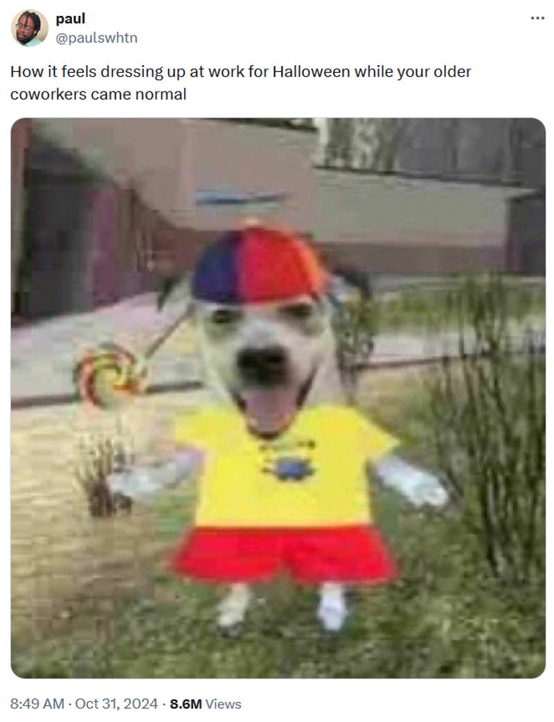 Silly Dog In A Propeller Hat Meme Origins, History, & Examples