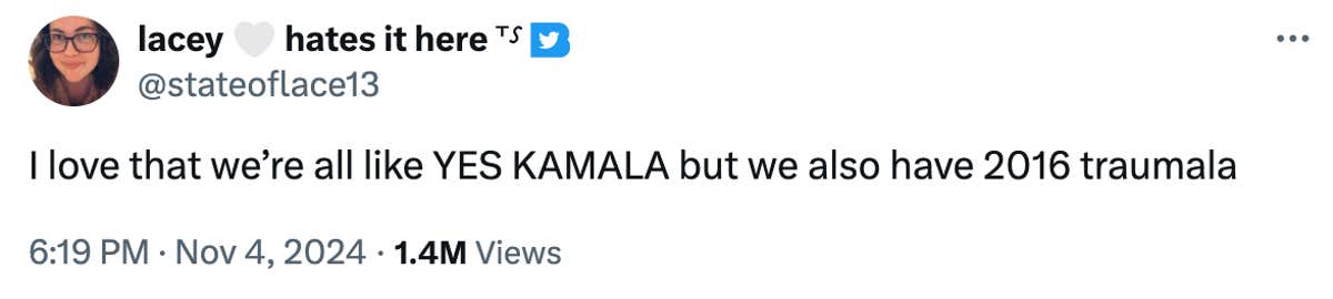 40 Of The Funniest 2024 Voting Day Memes