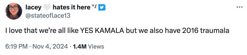 40 Of The Funniest 2024 Voting Day Memes