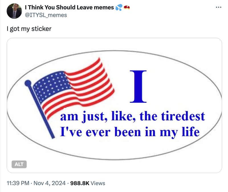 40 Of The Funniest 2024 Voting Day Memes