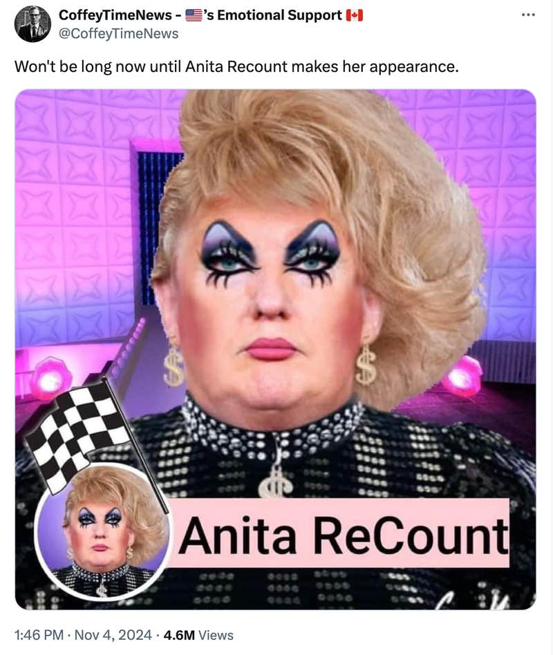 40 Of The Funniest 2024 Voting Day Memes