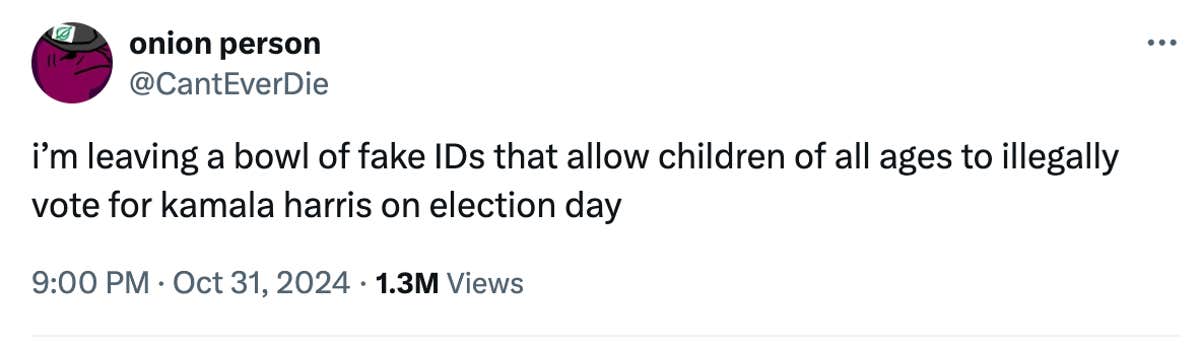 40 Of The Funniest 2024 Voting Day Memes