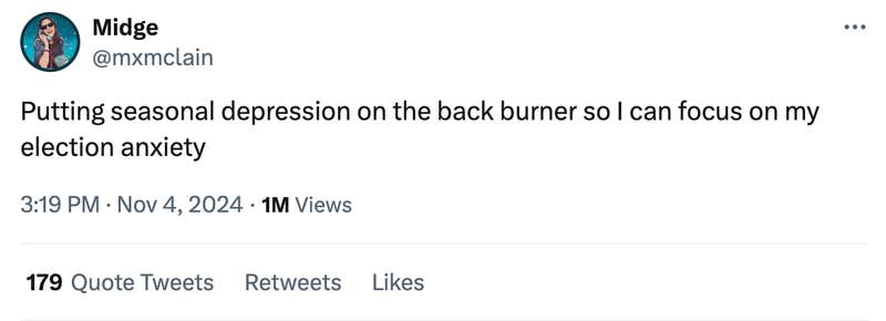 40 Of The Funniest 2024 Voting Day Memes