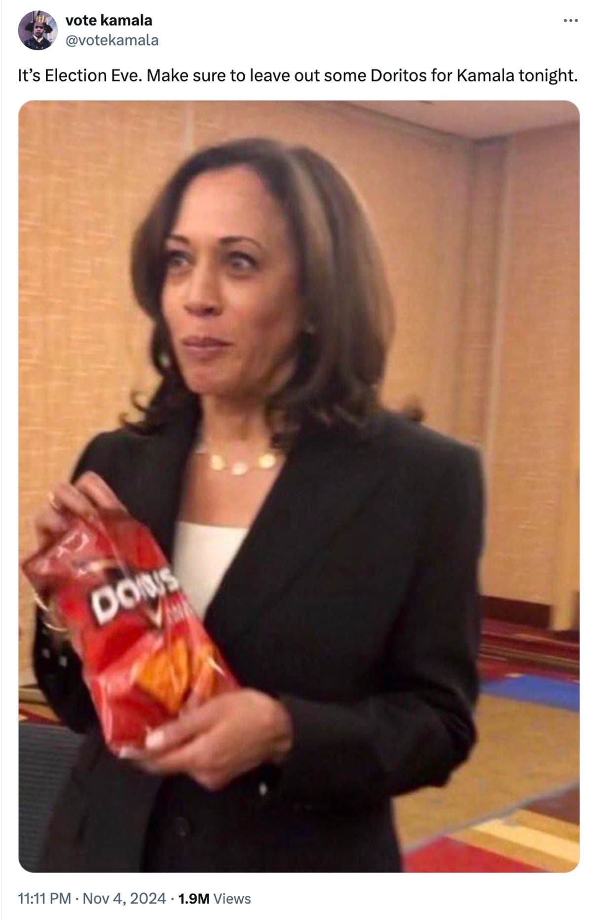 40 Of The Funniest 2024 Voting Day Memes