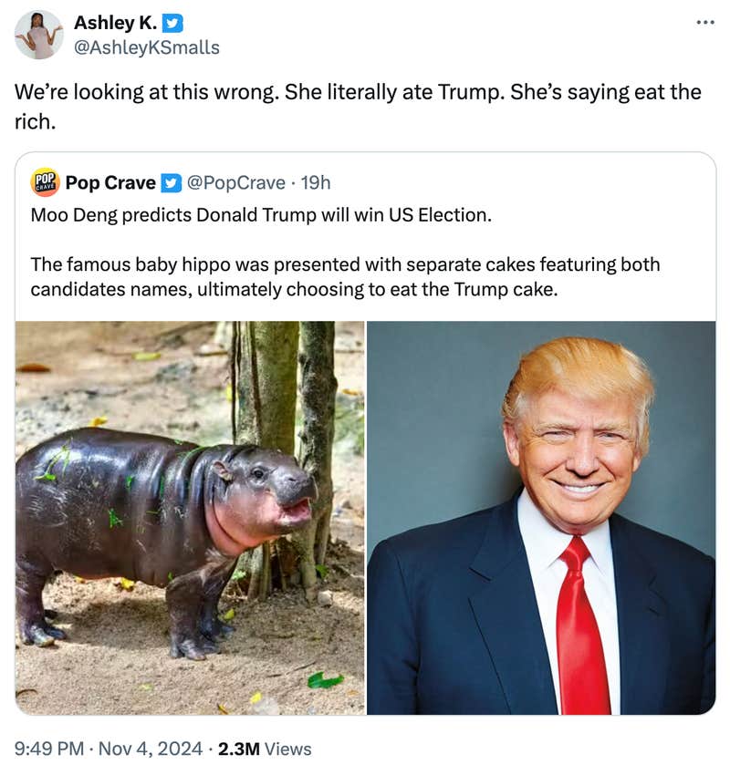 40 Of The Funniest 2024 Voting Day Memes