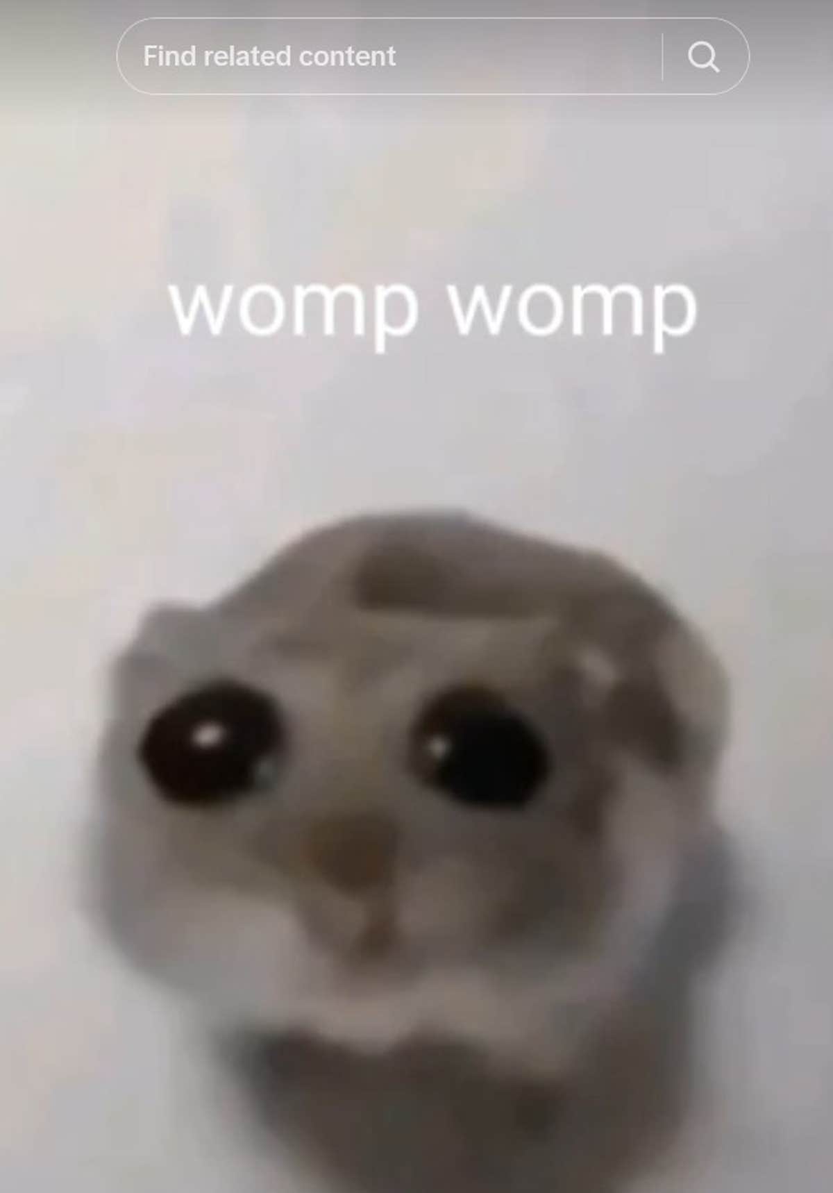 Where Did The Womp Womp Meme Come From?