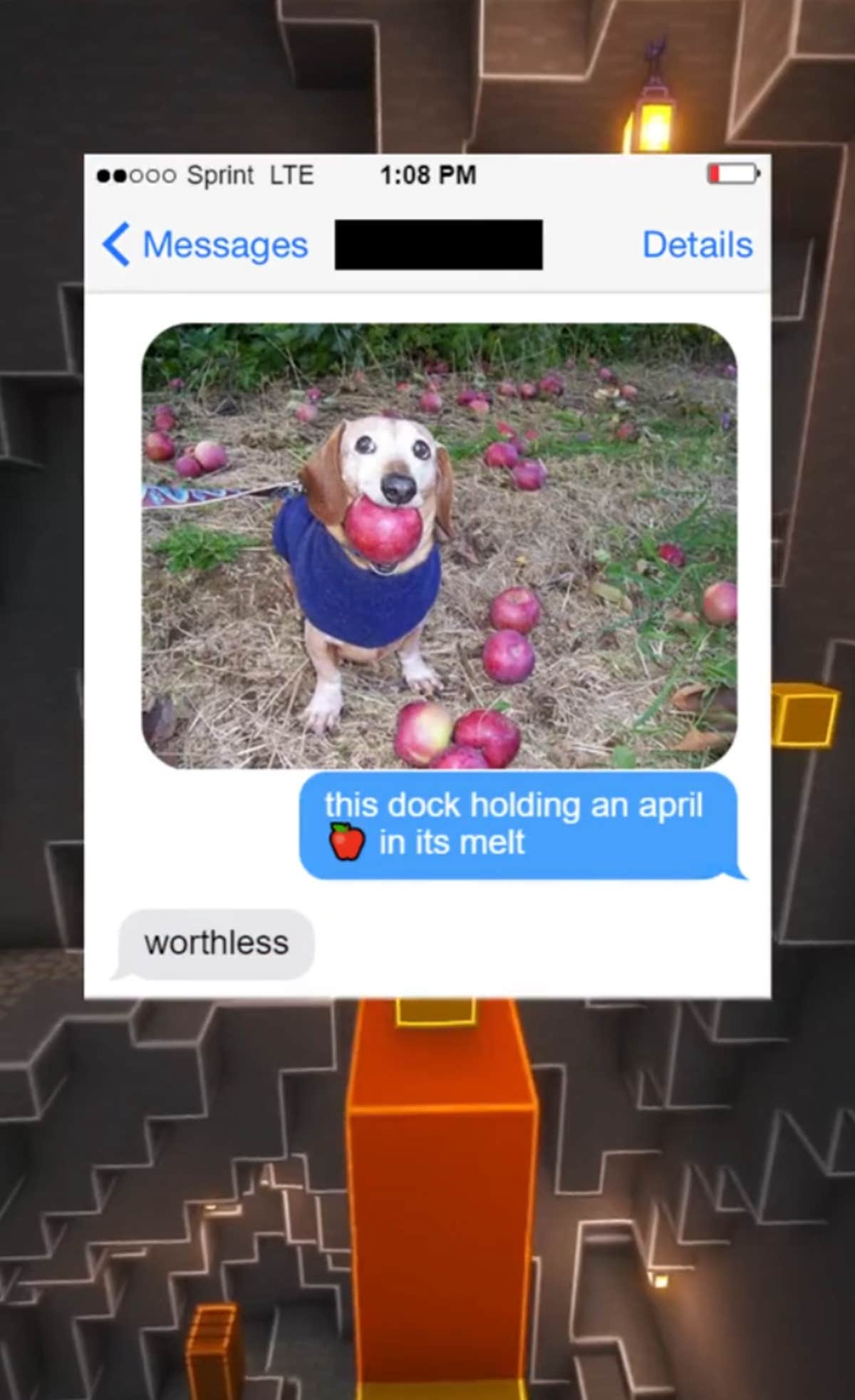 What's Up With The Dog With Apple Meme And Apple Dog AI Videos?