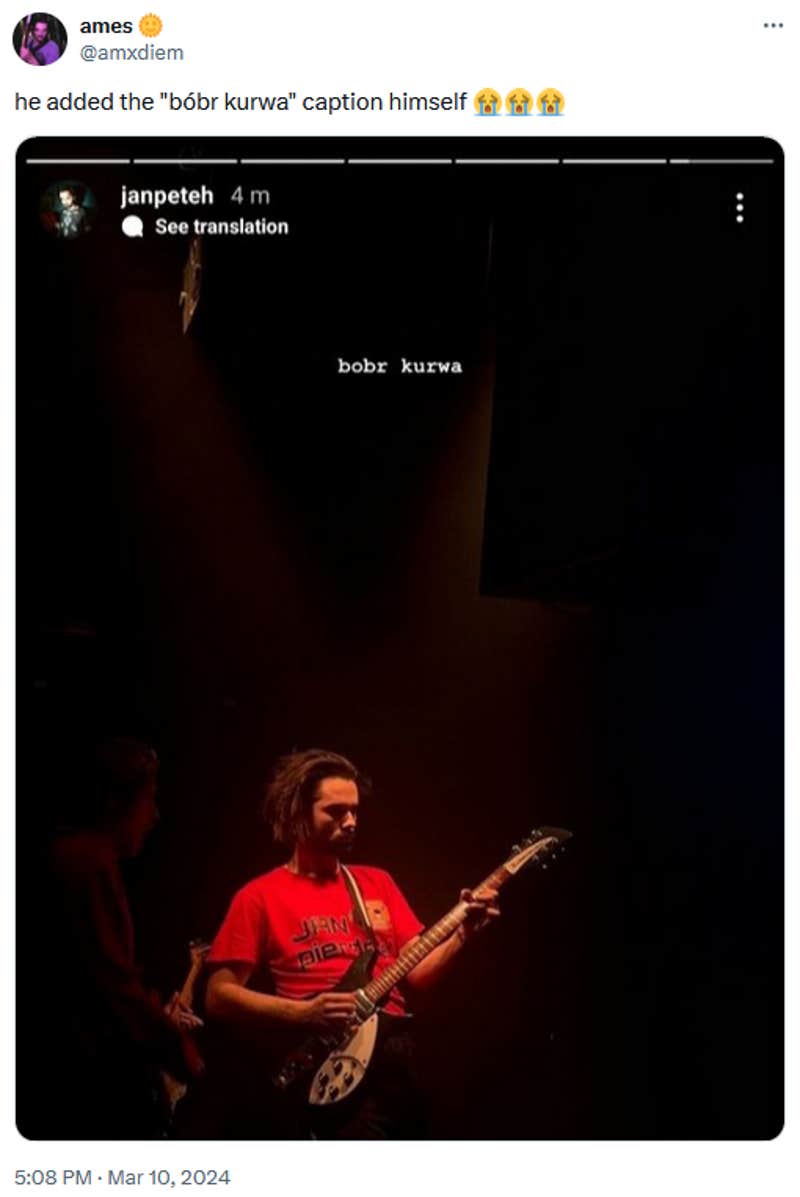 Explaining 'Bobr Kurwa' / 'Kurwa Bobr', The Polish Beaver Meme