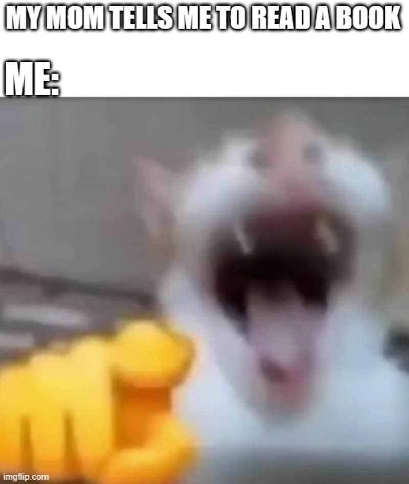 The Cat Laughing And Pointing Meme: A Perfect Reaction