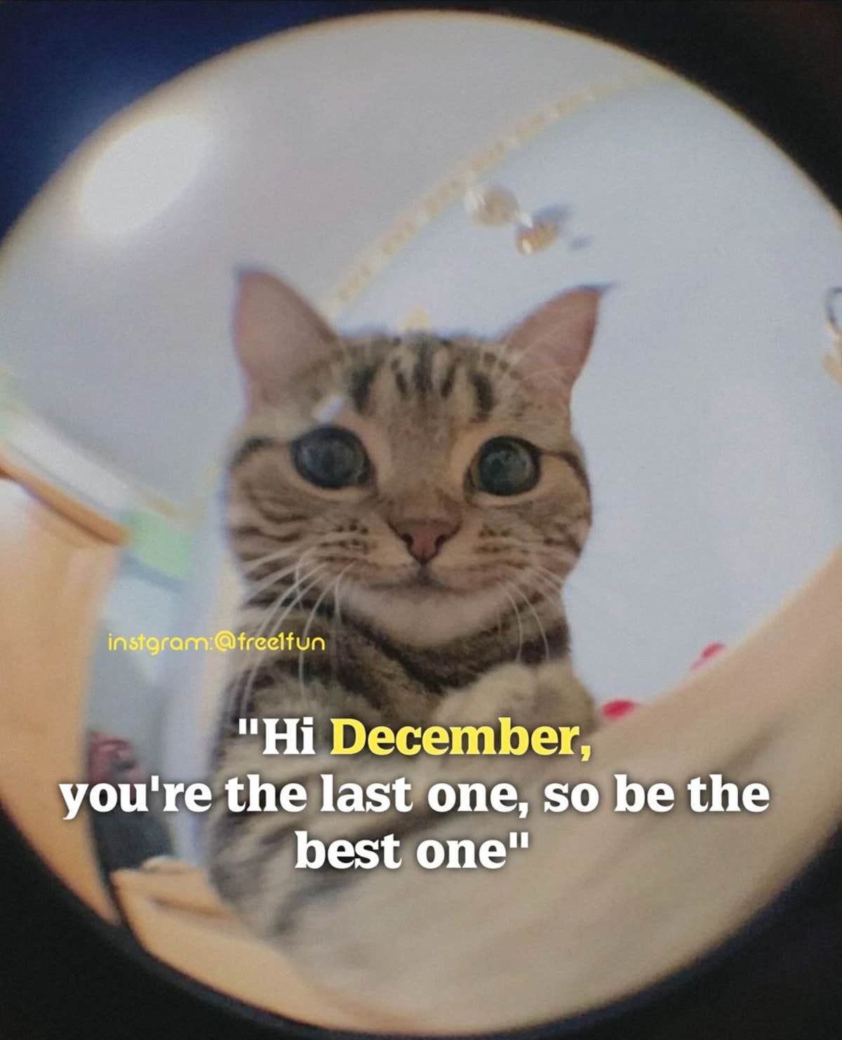 The Funniest December Memes, 2024 Edition