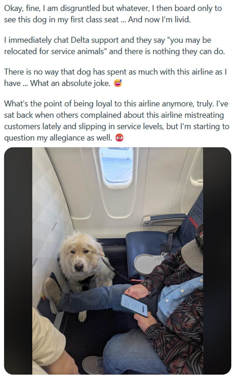 'Mr. steal your seat'—Delta passenger 'livid' af