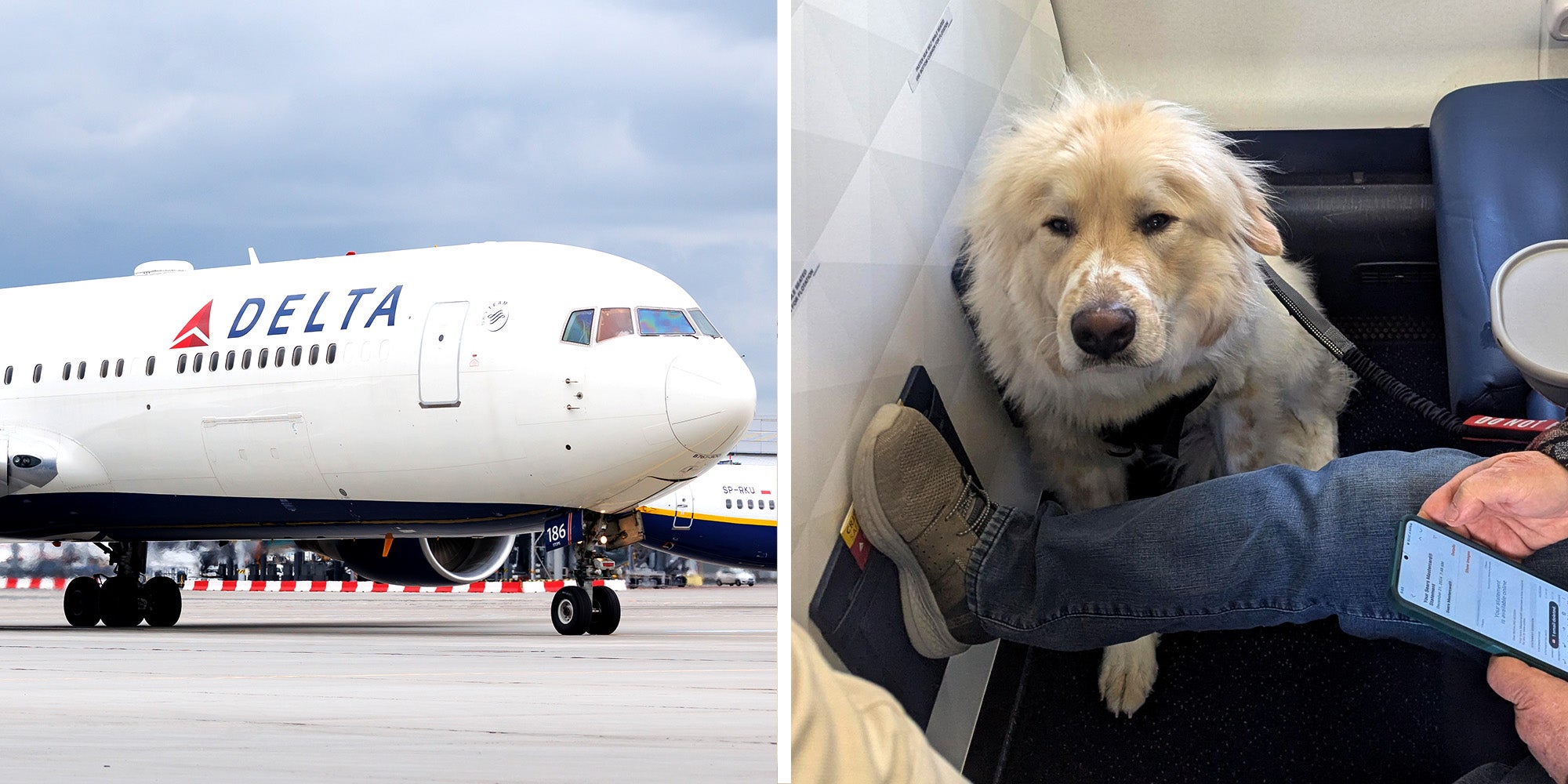 'Mr. steal your seat'—Delta passenger 'livid' after being downgraded ...
