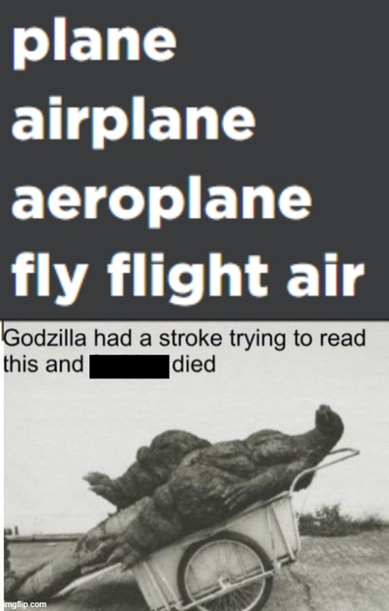 'Godzilla Had A Stroke Trying To Read This And F*cking Died'—Copypasta ...