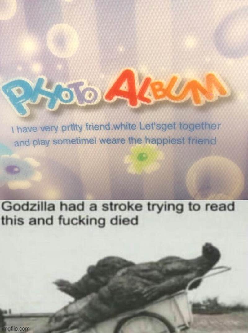'Godzilla Had A Stroke Trying To Read This And F*cking Died'—Copypasta ...