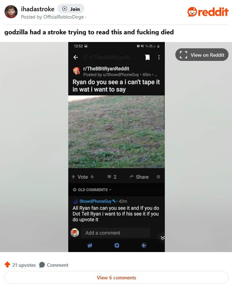 'Godzilla Had A Stroke Trying To Read This And F*cking Died'—Copypasta ...