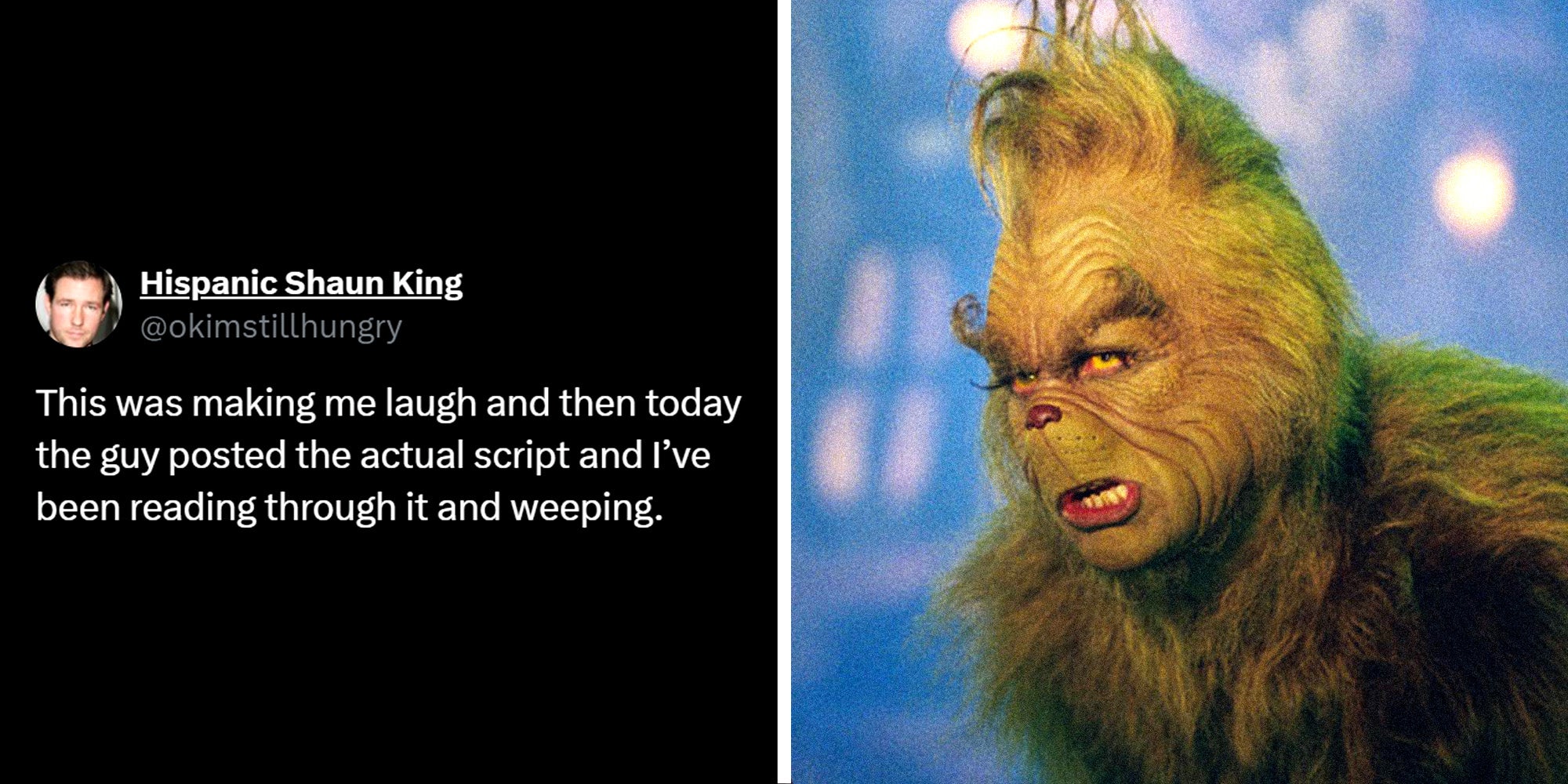Some Guy's Dad Wrote A Grinch 2 Script And Fans Are Obsessed