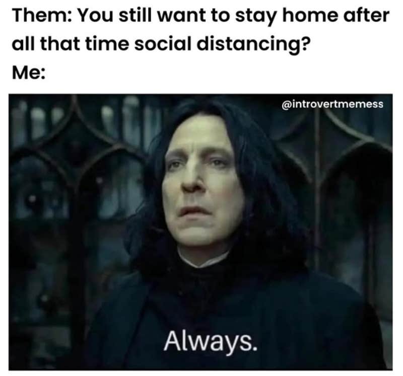 30 Funny Introvert Memes That Understand The Art of Avoidance