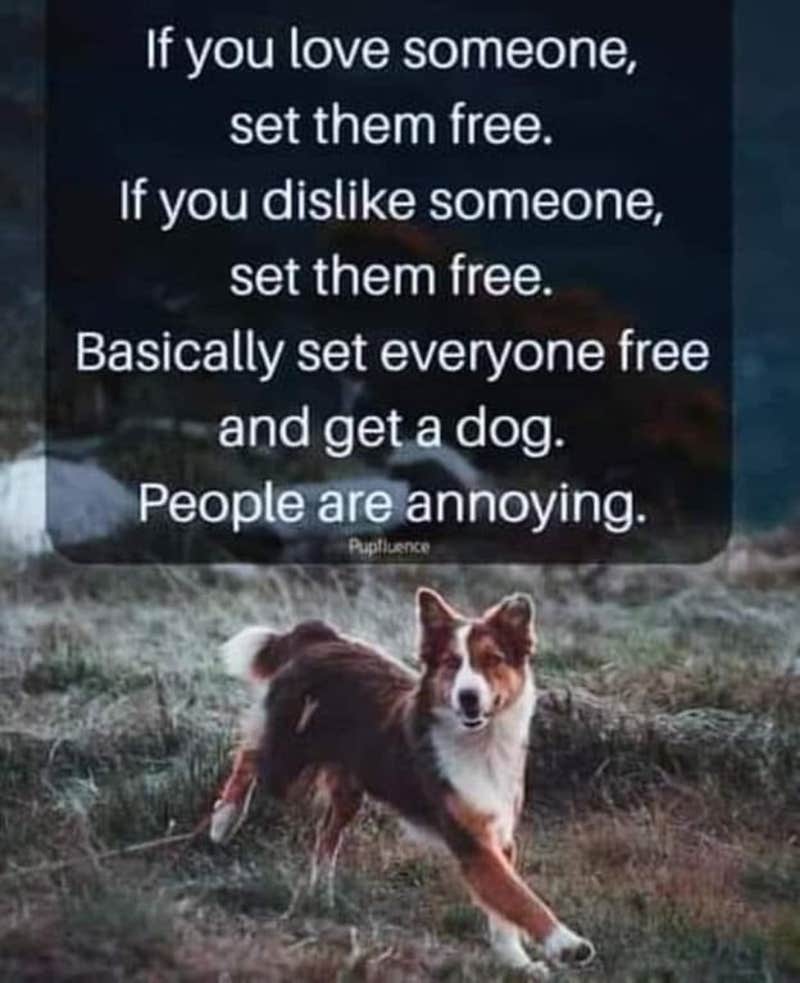 30 Funny Introvert Memes That Understand The Art of Avoidance