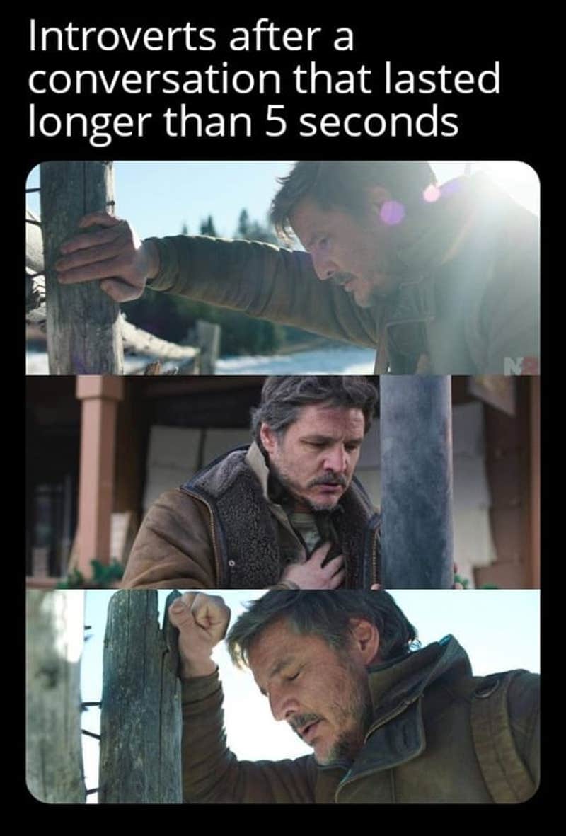 30 Funny Introvert Memes That Understand The Art of Avoidance