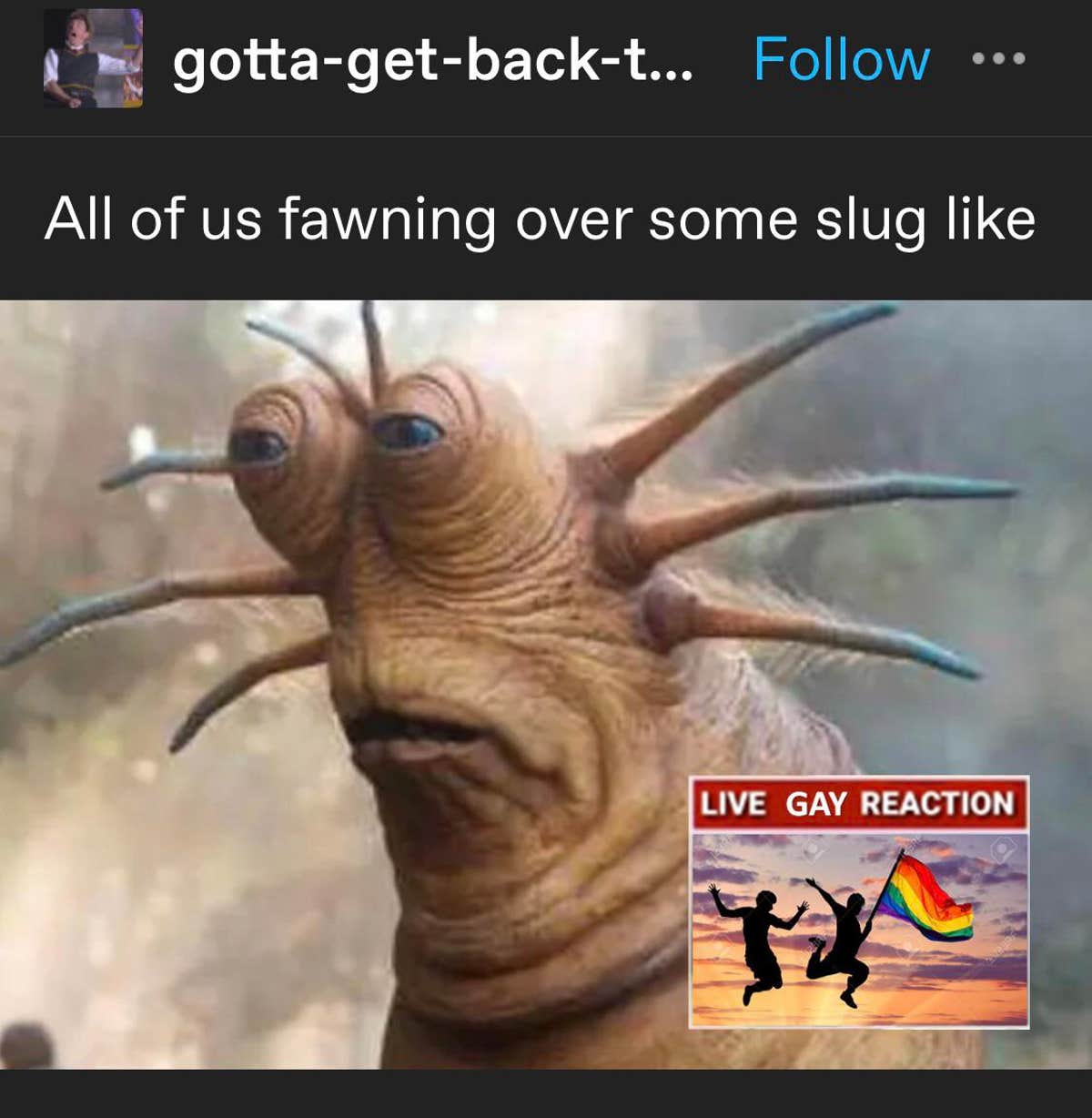 What Is The Live Slug Reaction Meme From 'Star Wars'?