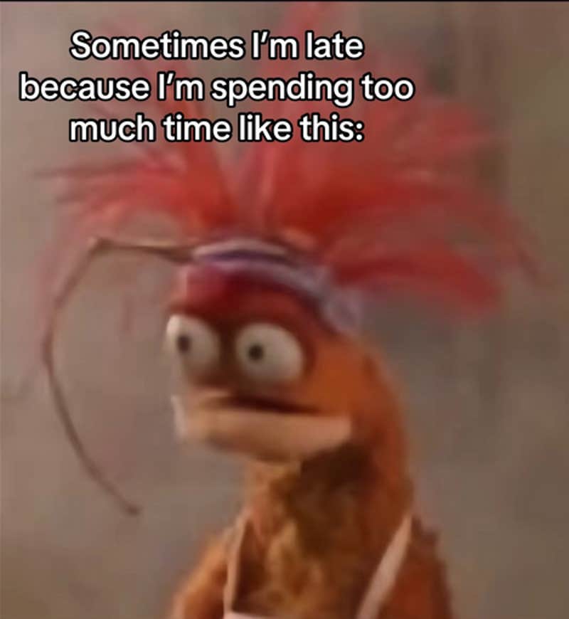 'Pepe The King Prawn' Orange Muppet Meme, Explained