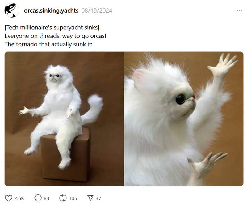 The Dramatic Origins Of The Persian Cat Room Guardian Meme