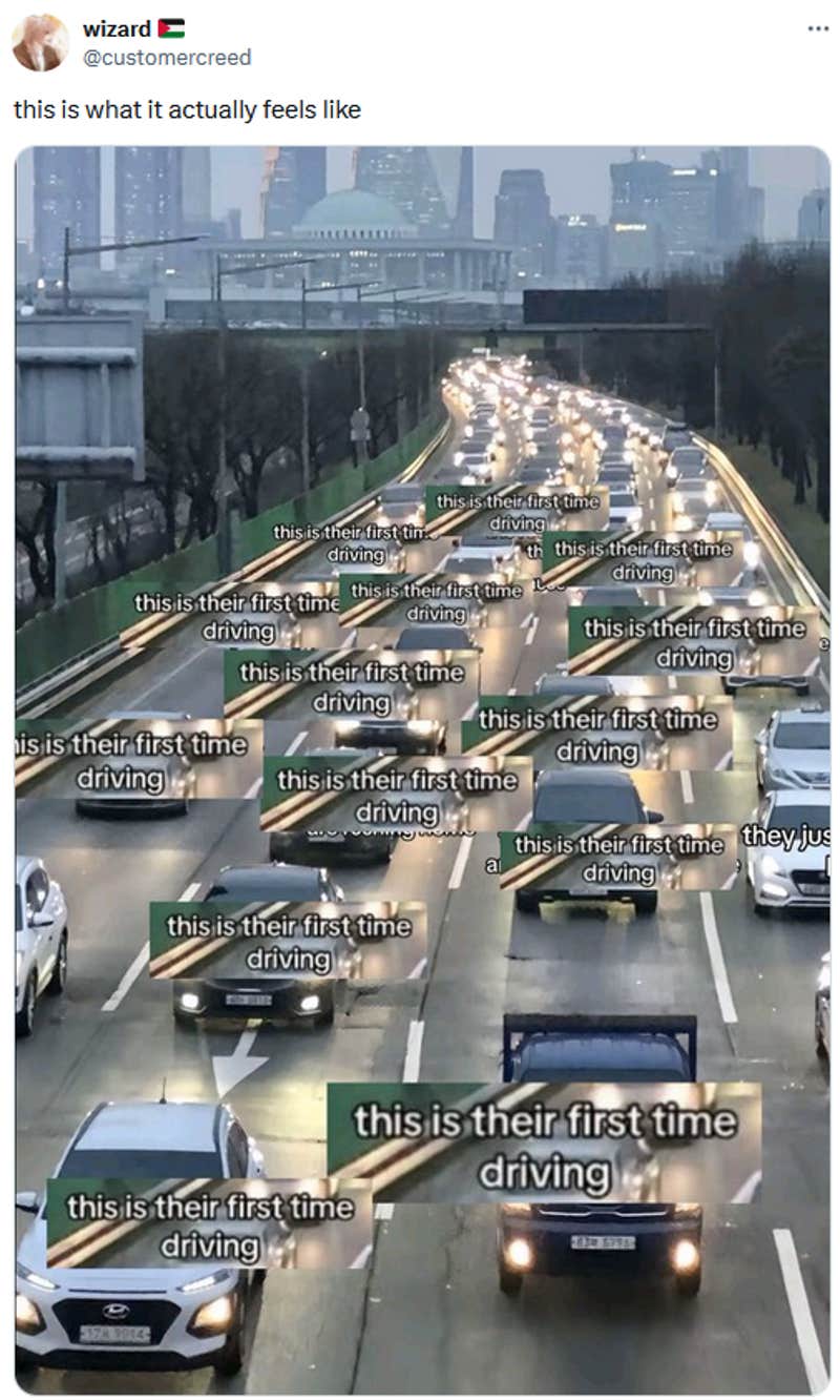 'MF DRIVE FASTER': Sentimental Traffic Meme Inspires Parodies