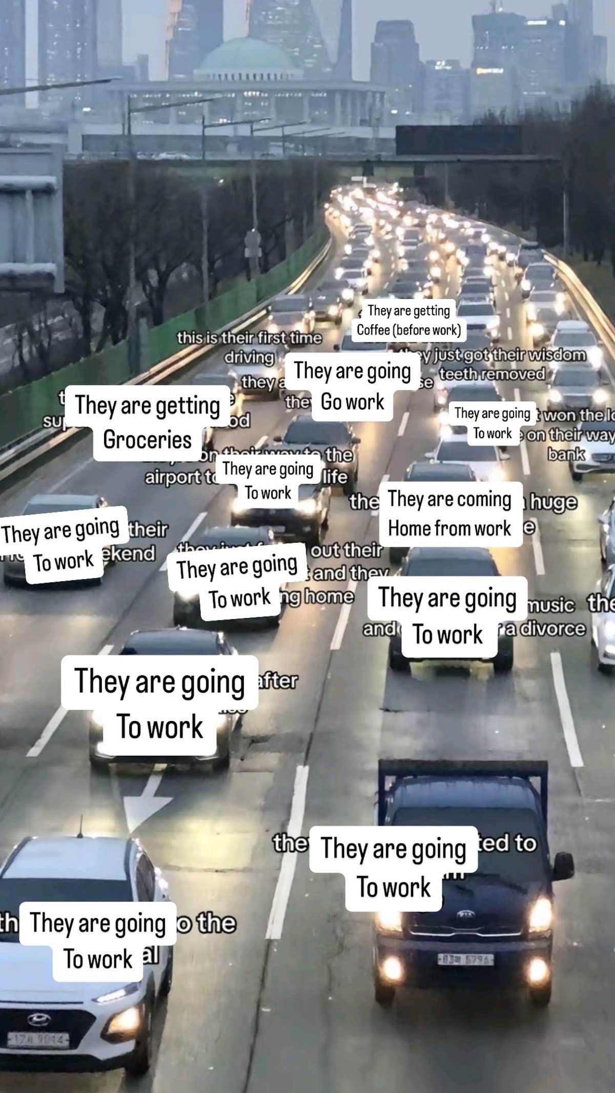 'MF DRIVE FASTER': Sentimental Traffic Meme Inspires Parodie
