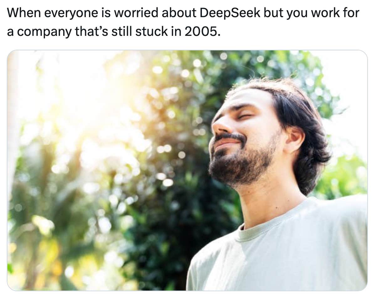 DeepSeek memes are roasting American A.I. giants